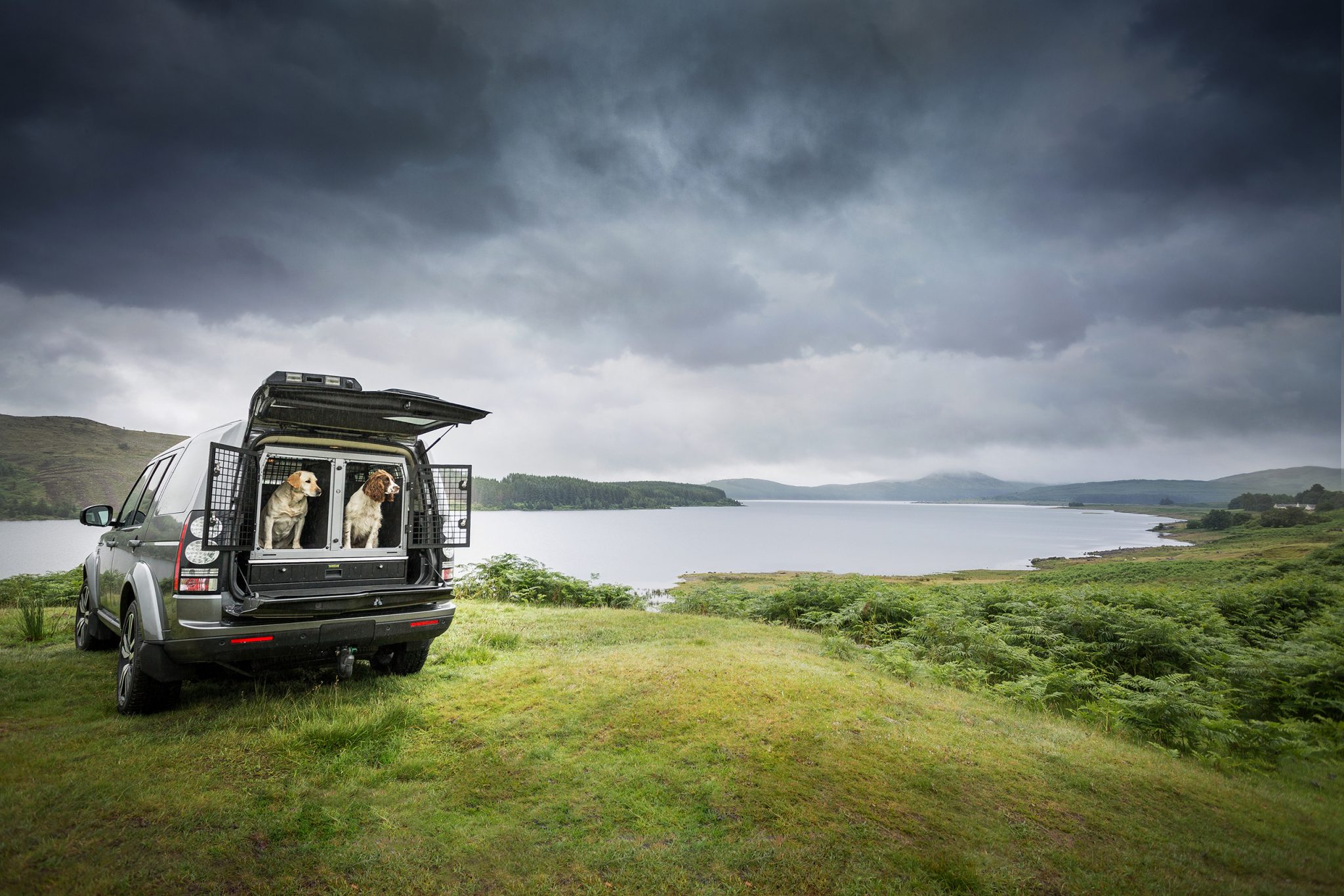 Car Dog Cages, Crates & Transit Boxes for Defender 110 2020 – Present ...