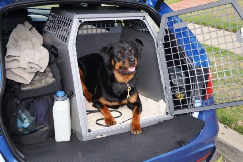 K9/C23 Single Car Dog Crate for Audi, Mercedes, Mazda | TransK9