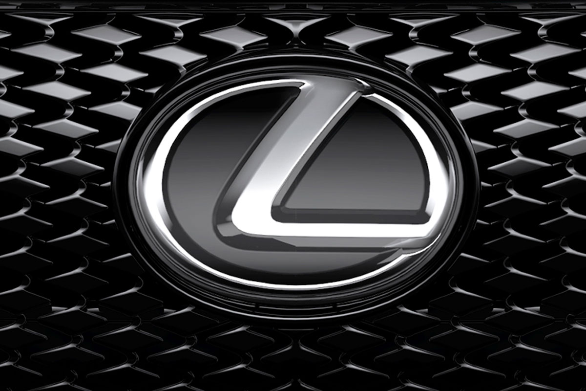 Dog Car Cages, Crates & Transit Boxes for Cars & Vans | TransK9