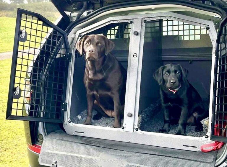K9/C34 Double Dog Cage for CRV | TransK9