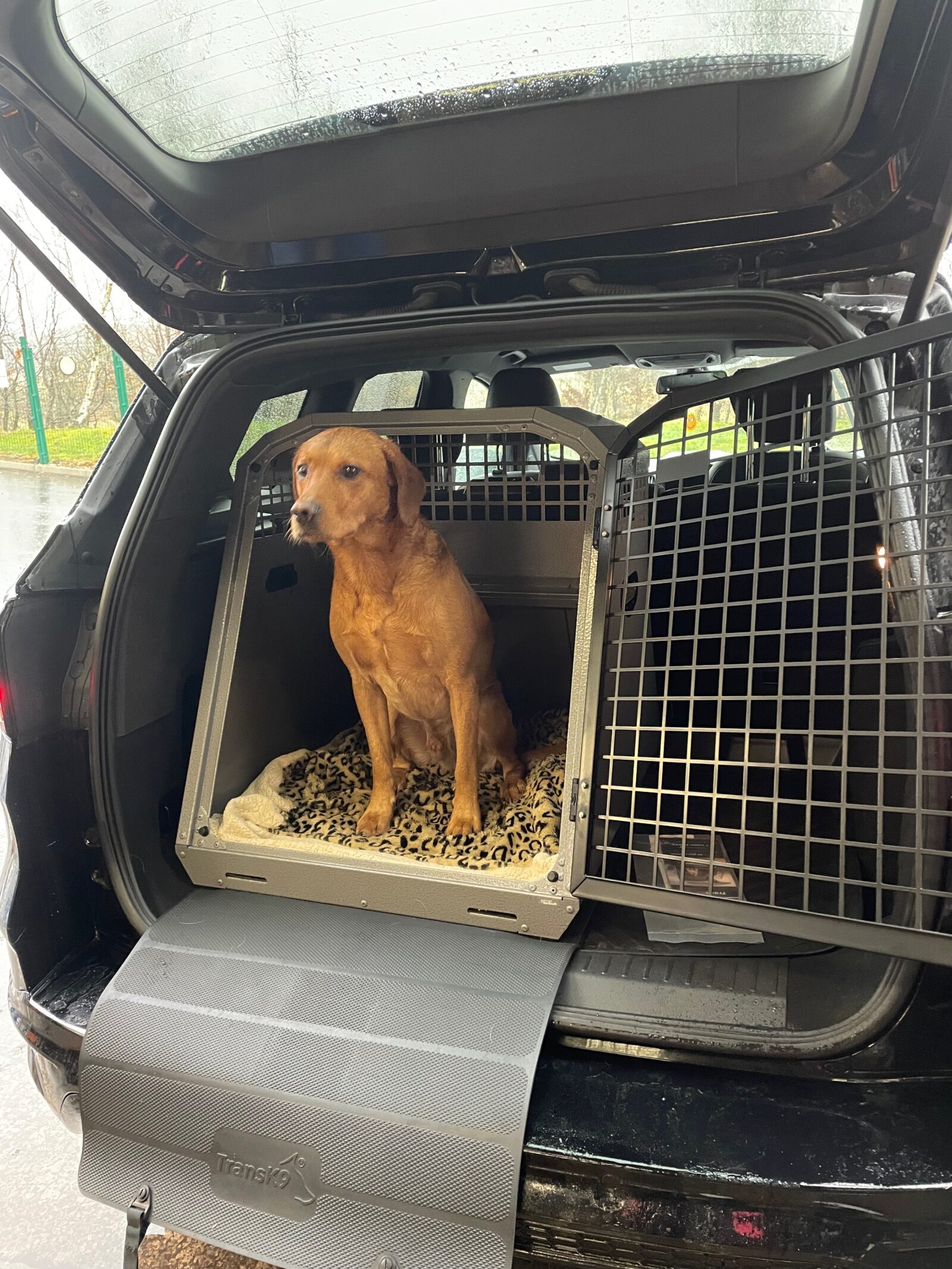 K9/C41 Car Dog Crate for Volkswagen, Skoda & more | TransK9