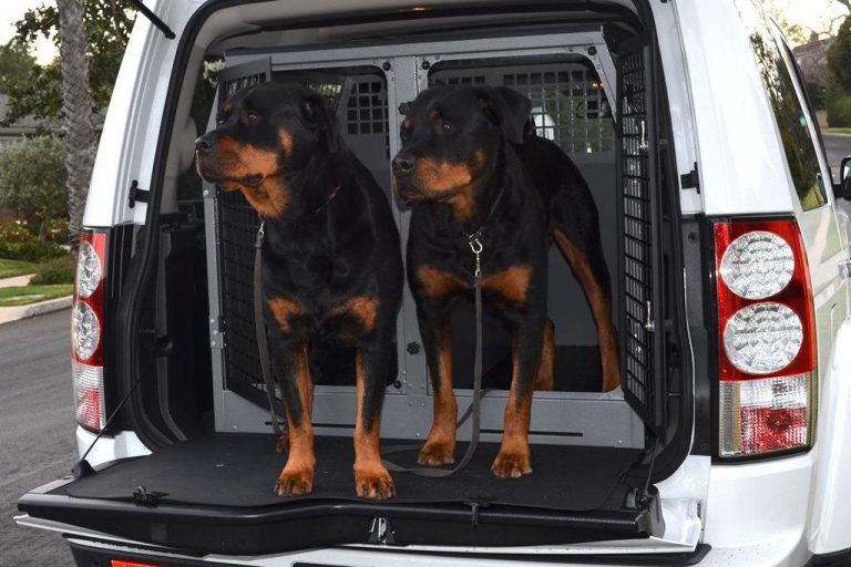 K9/C10 Car Dog Crate for Discovery 3 & 4, Various Vans | TransK9