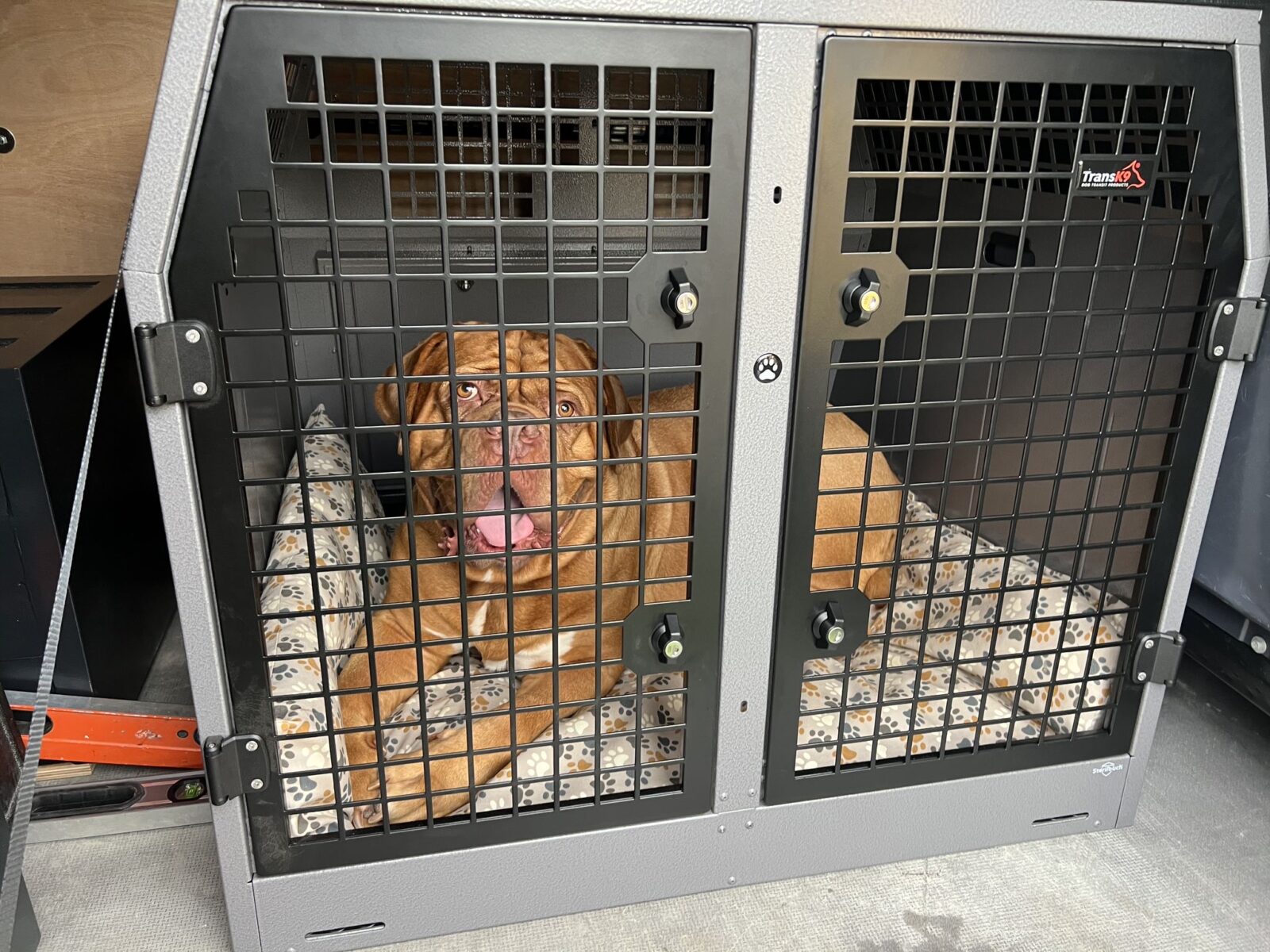 K9/C10 Double Dog Cage for ID.Buzz | TransK9