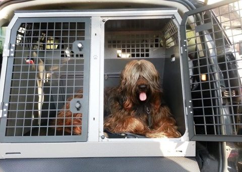 K9/C6 Car Dog Crate for Range Rover, Ford, Vauxhall | TransK9