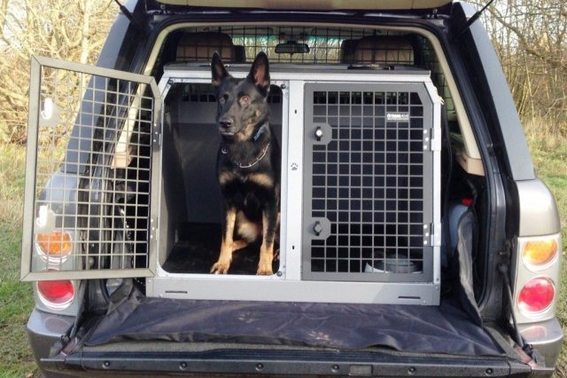 K9/C6 Car Dog Crate for Range Rover, Ford, Vauxhall | TransK9