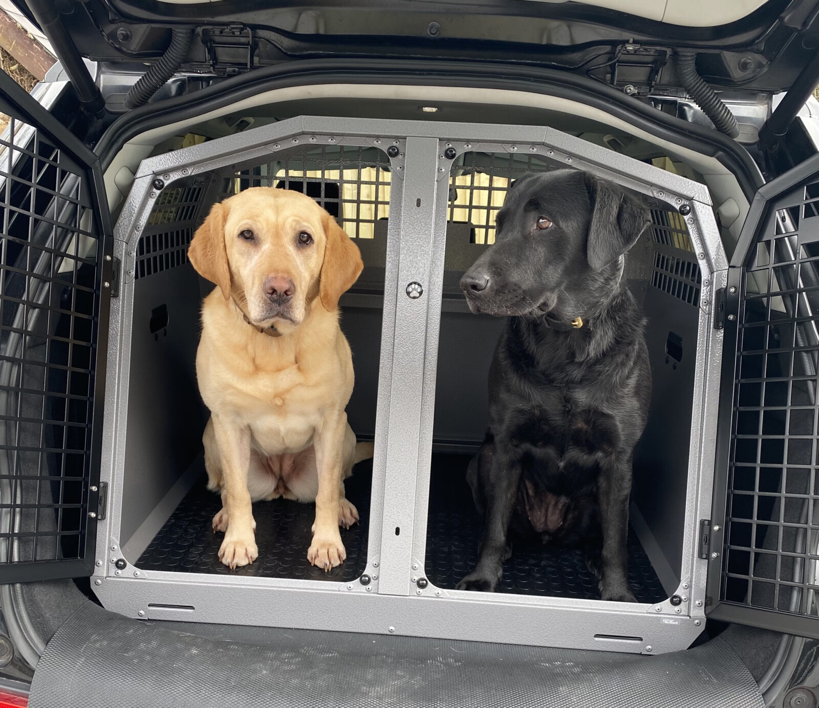 K9/C34 Double Dog Cage for CRV | TransK9