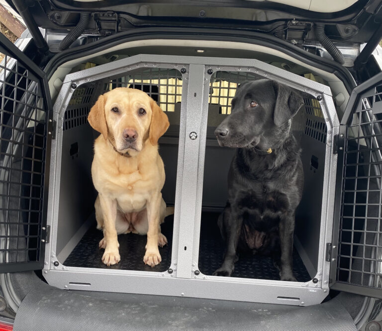 K9/C34 Double Dog Cage for RAV4 | TransK9