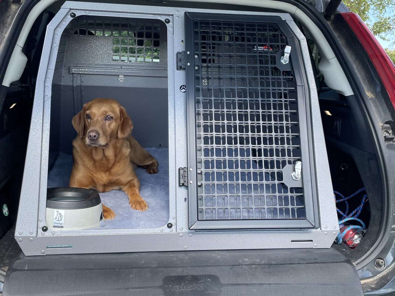 K9/C50 Double Dog Cage for XC90 | TransK9