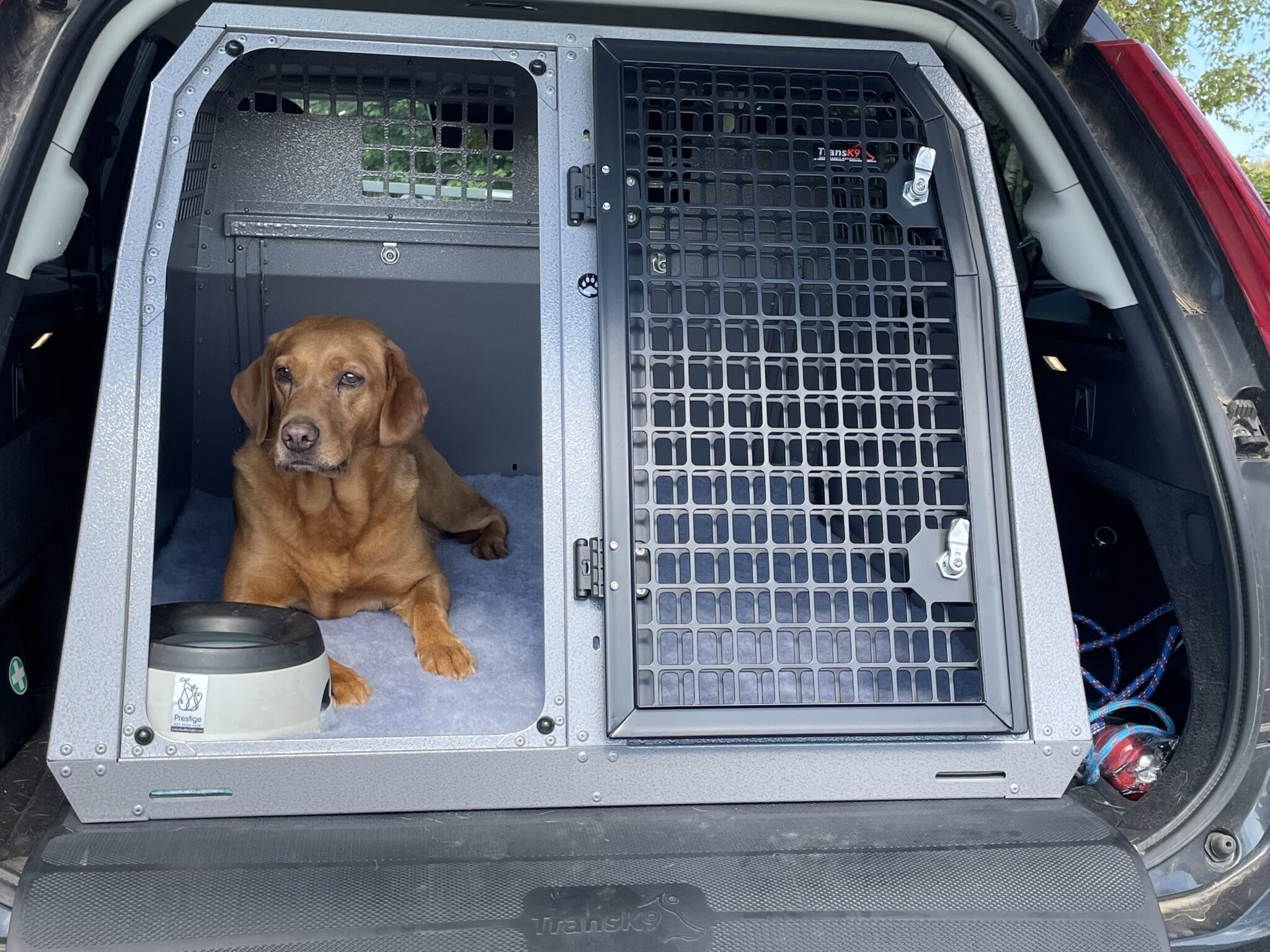 K9/C50 Double Dog Cage for XC90 | TransK9