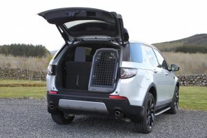 Car Dog Cages, Crates & Transit Boxes for Range Rover Sport L461 2022 ...