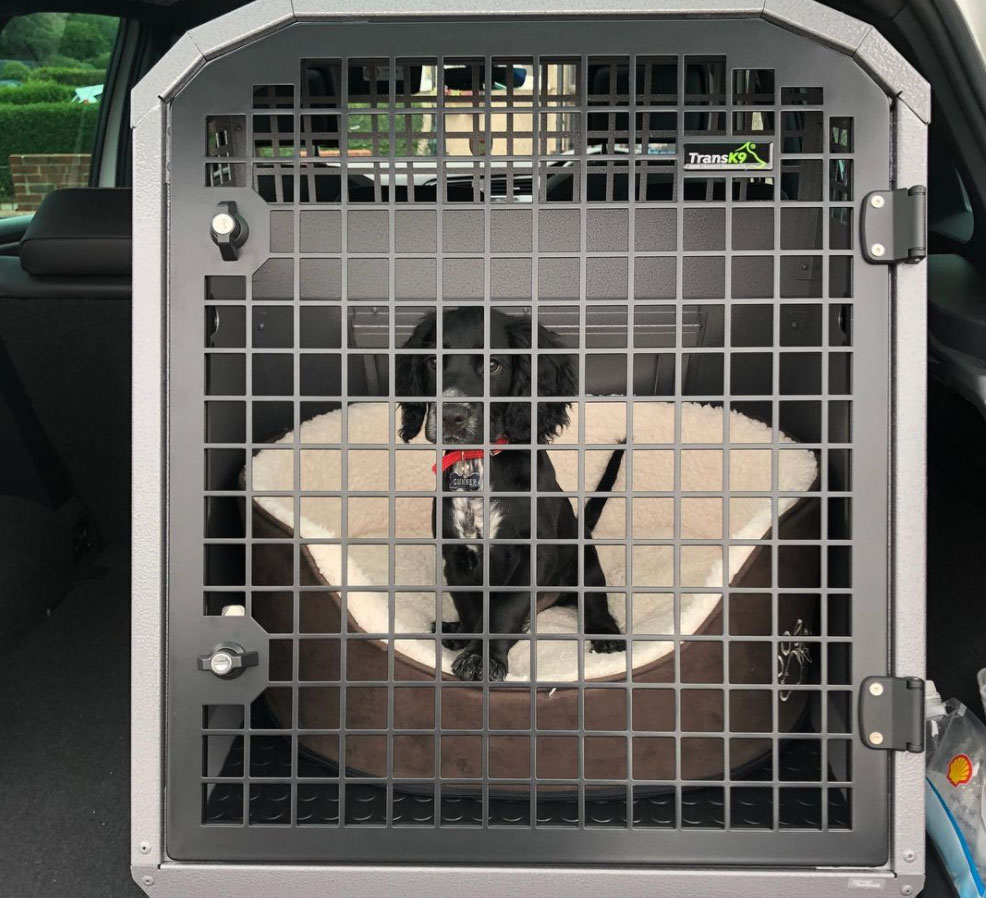 Car dog cages, crates & transit boxes for cars & vans | Transk9