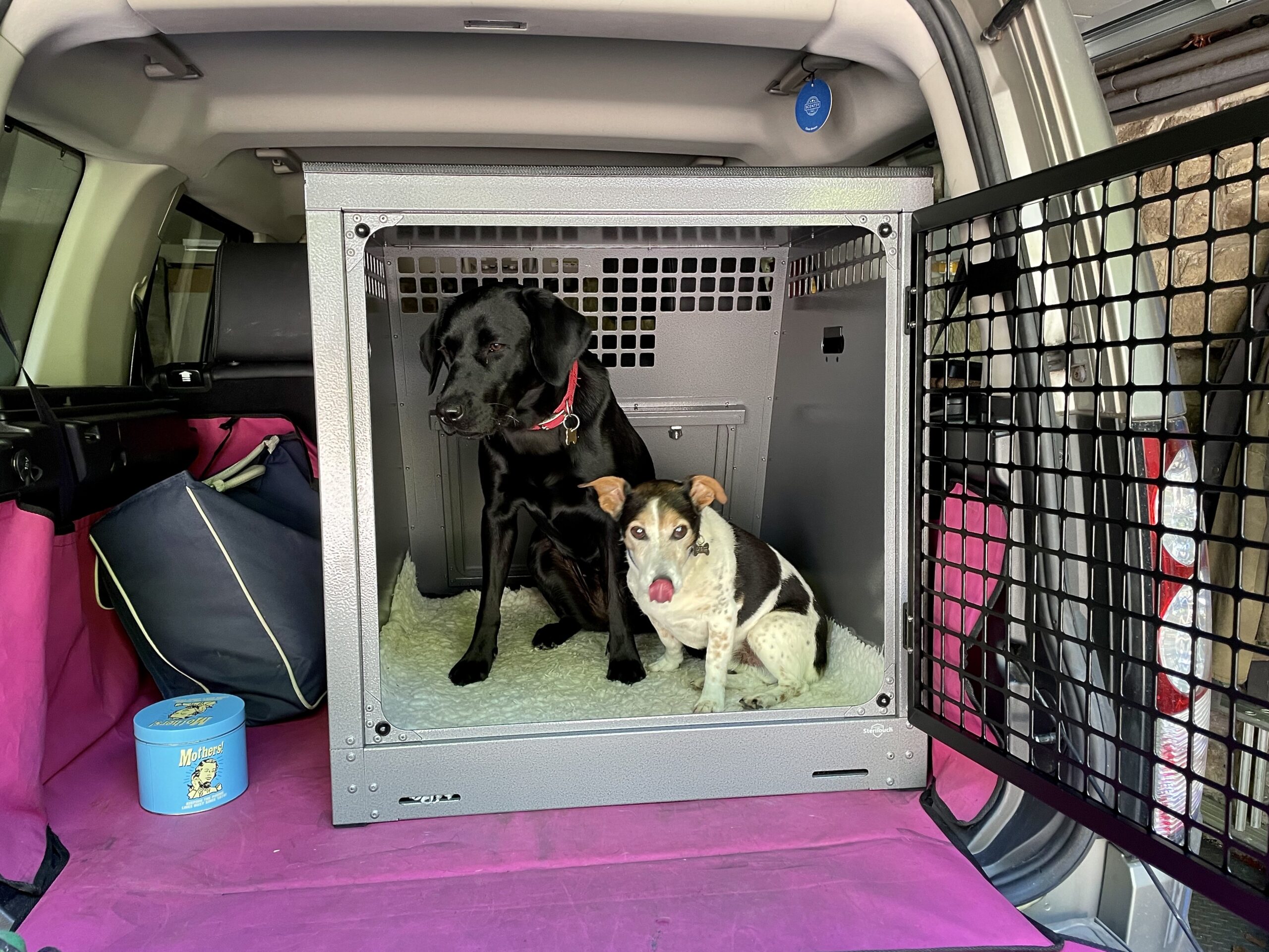 K9/C28 Single Dog Cage for Defender | TransK9