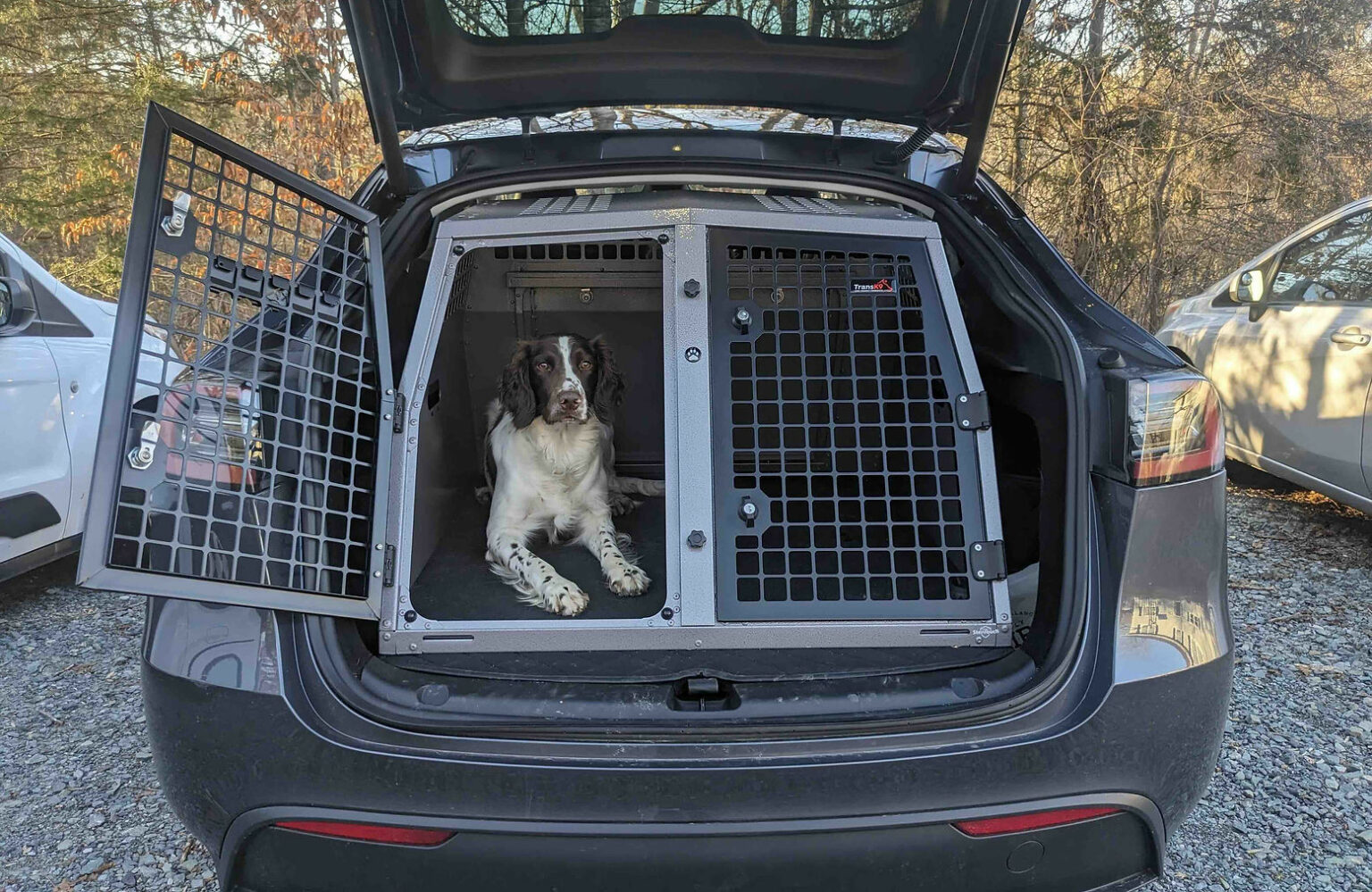K9/C51 Tesla Model Y Car Dog Crate Transit Box | TransK9 Cages