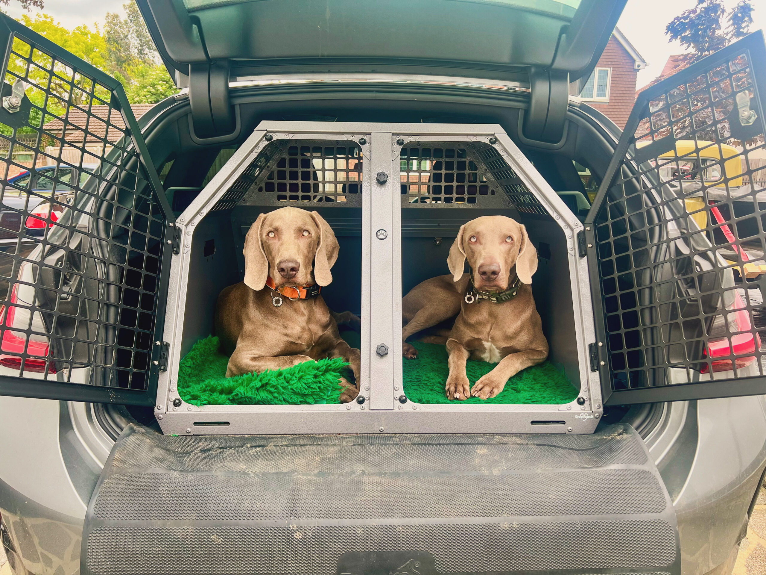 K9/C48 Dog Car Cratefor BMW 3 Series Touring G21 | TransK9