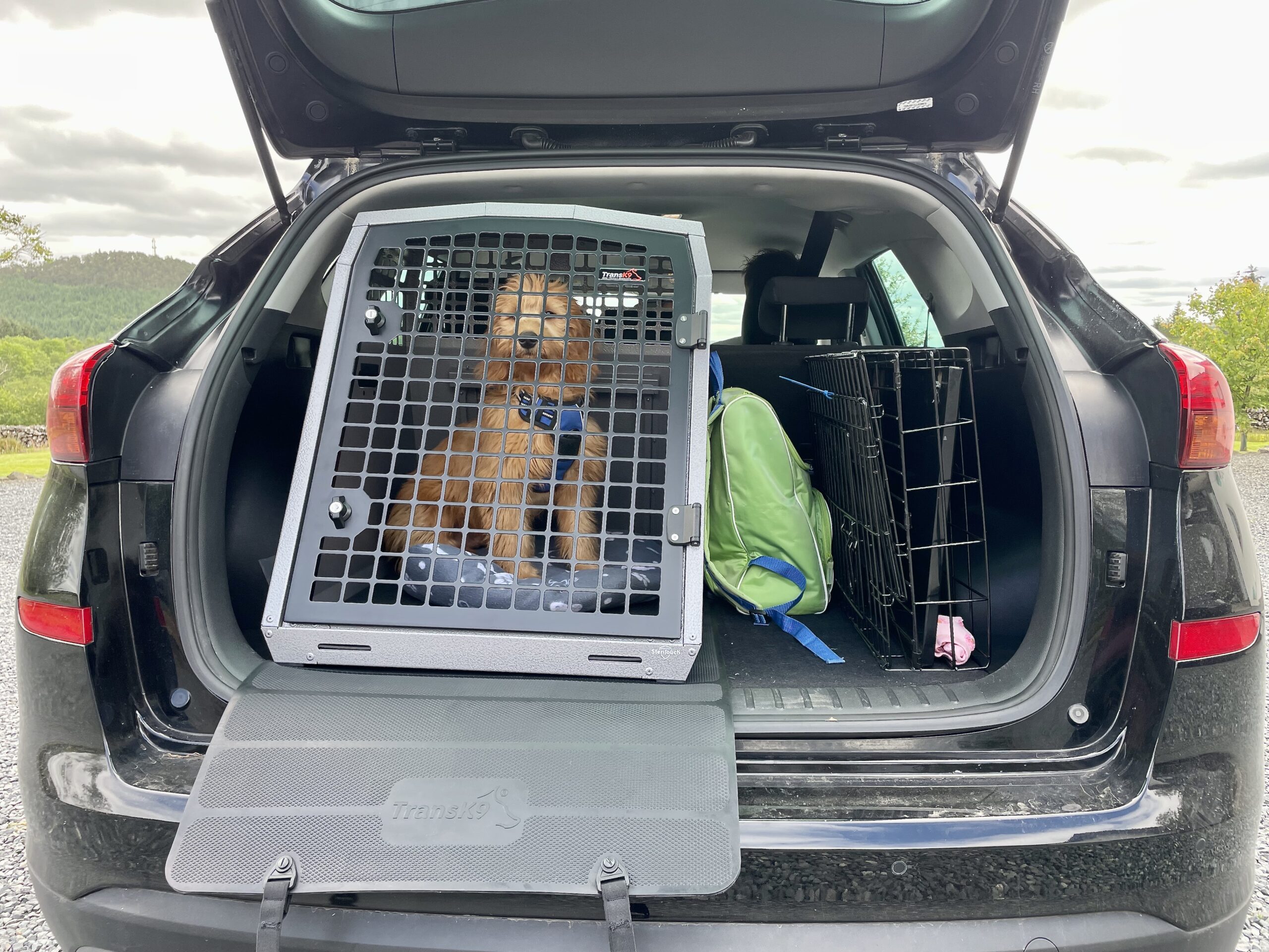 K9/C56 Car Dog Crate for Volvo XC40 Kia Sportage | TransK9