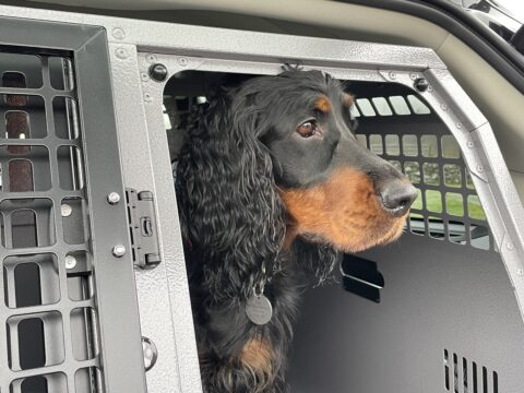 Car Dog Crates, Cages & Transit Boxes for Cars | TransK9