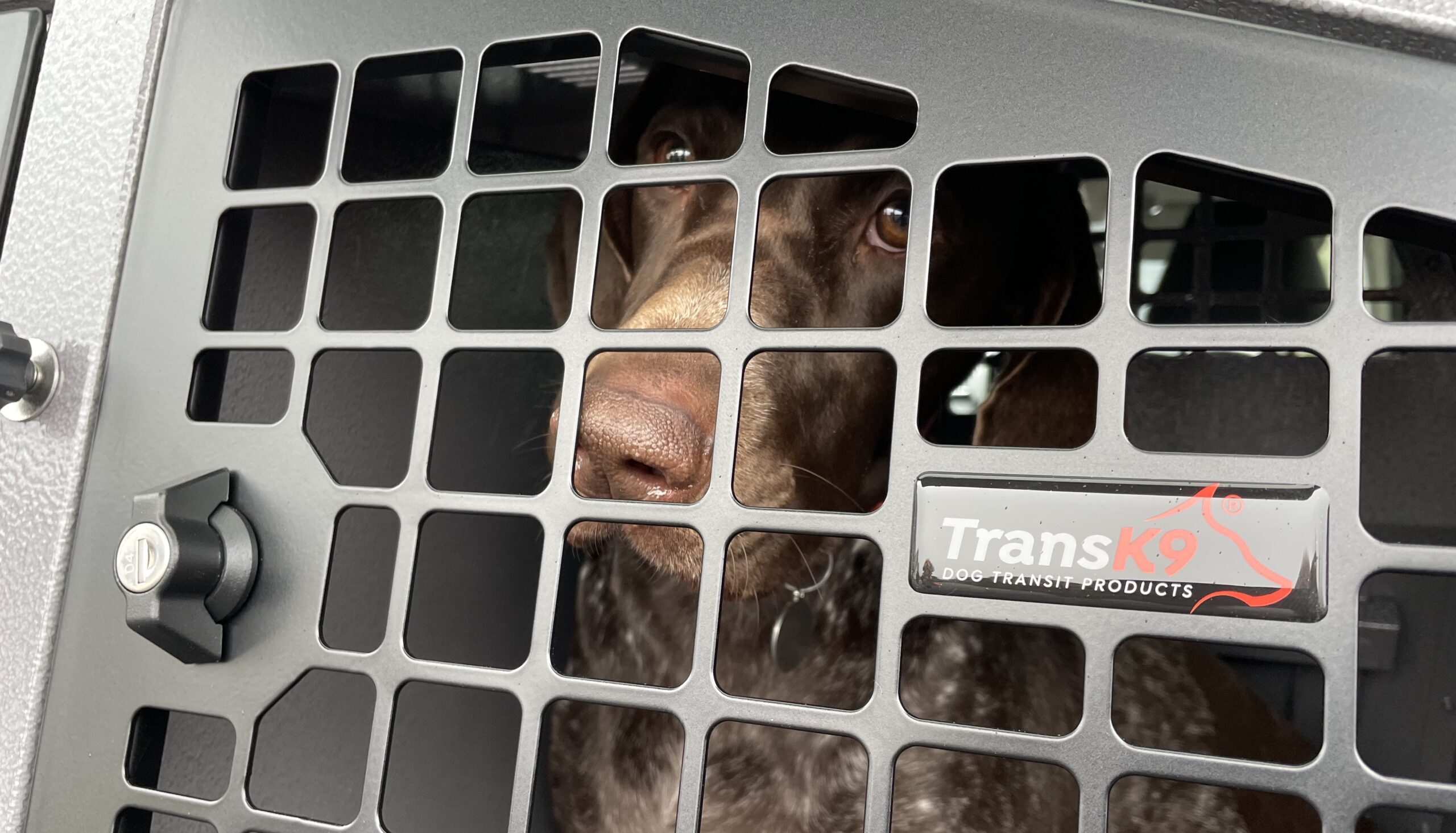 Car Dog Crates, Cages & Transit Boxes for Cars | TransK9