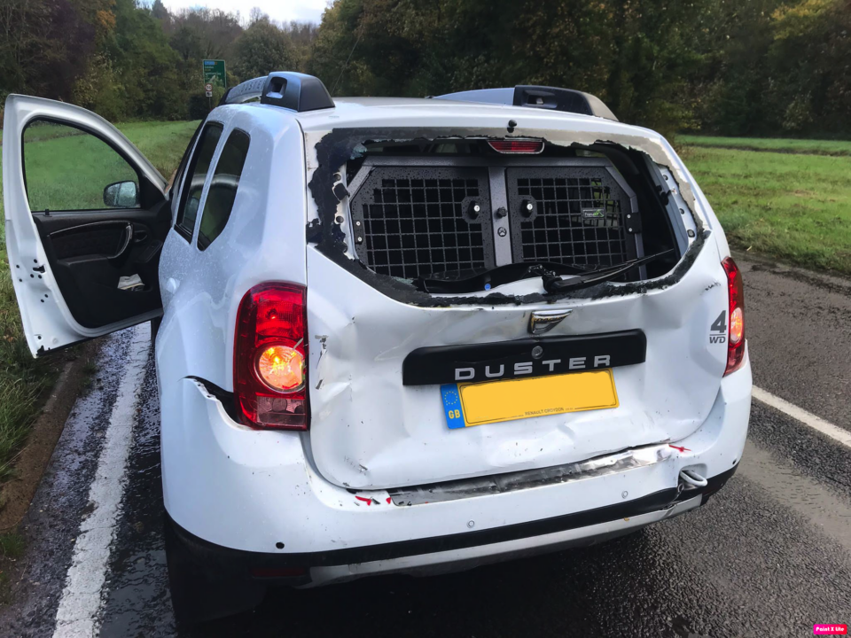 Car Dog Crates, Cages & Transit Boxes for Cars | TransK9