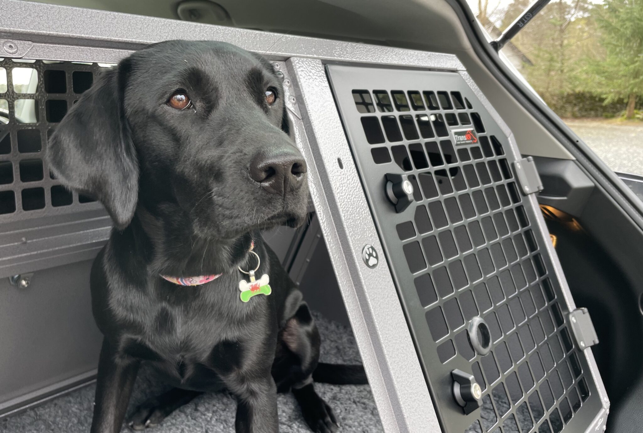 Car Dog Crates, Cages & Transit Boxes for Cars | TransK9