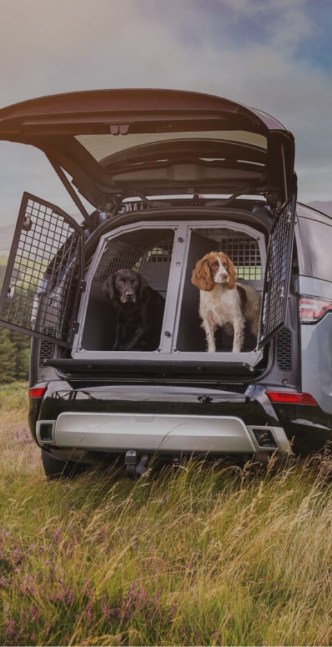 Car Dog Crates, Cages & Transit Boxes for Cars | TransK9