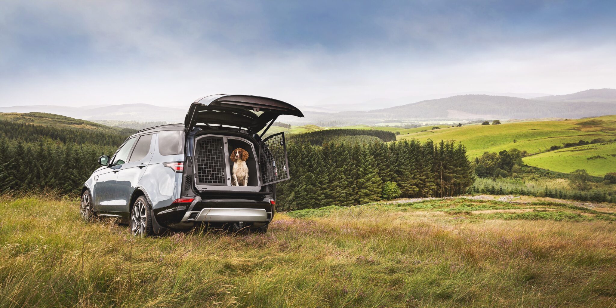 Car Dog Crates, Cages & Transit Boxes for Cars | TransK9